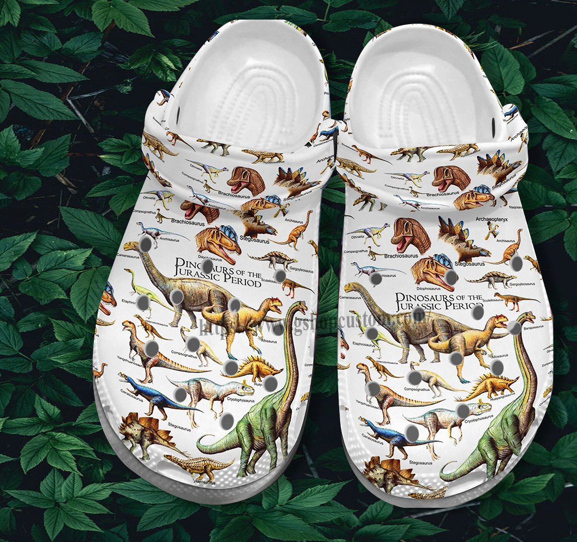 Dinosaur Species Jurassic Crocss Shoes Gift Birthday Son In Law ...