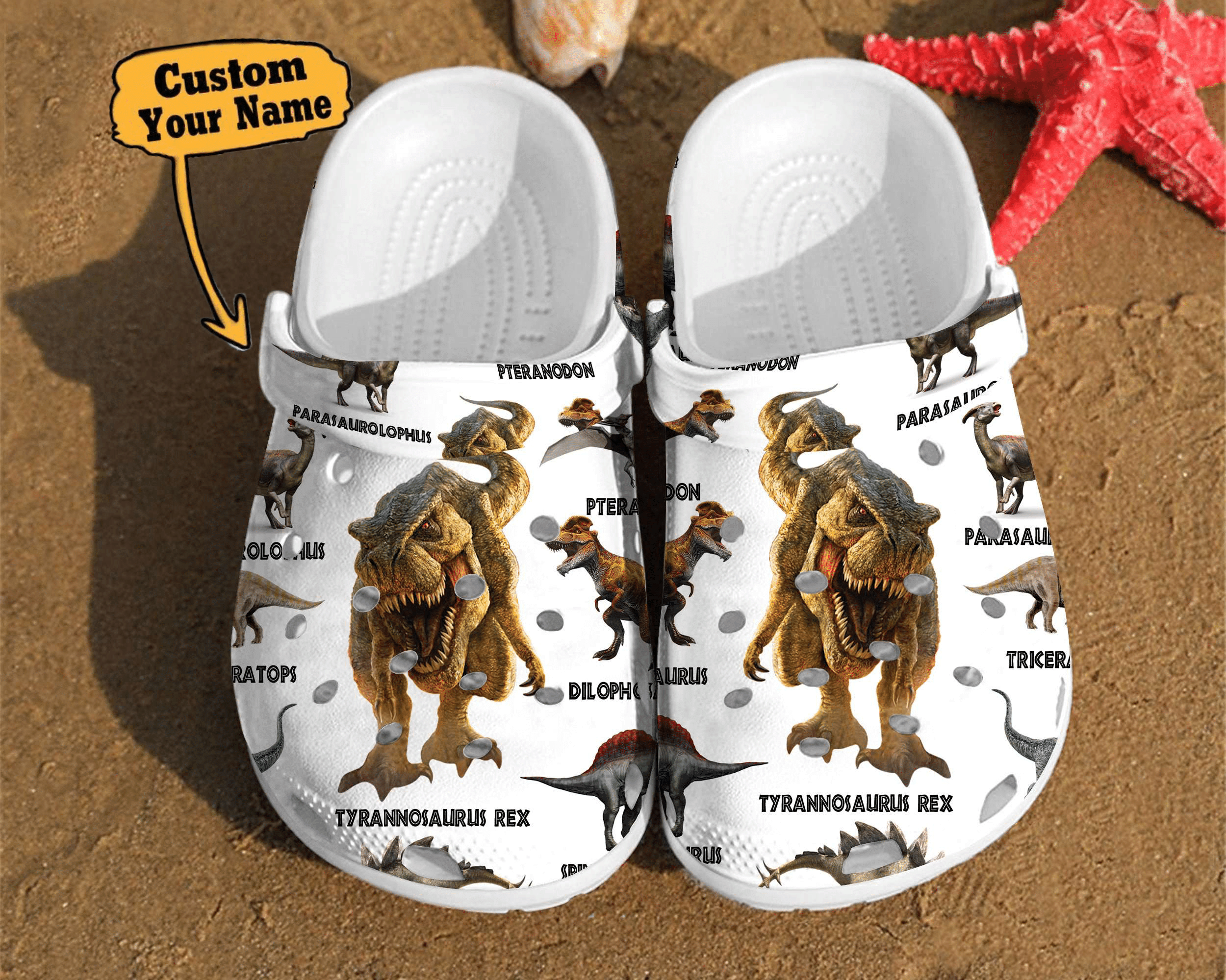 Dinosaur Crocss Dinosaur Types Pattern Gift For Lovers Clog Shoes For ...