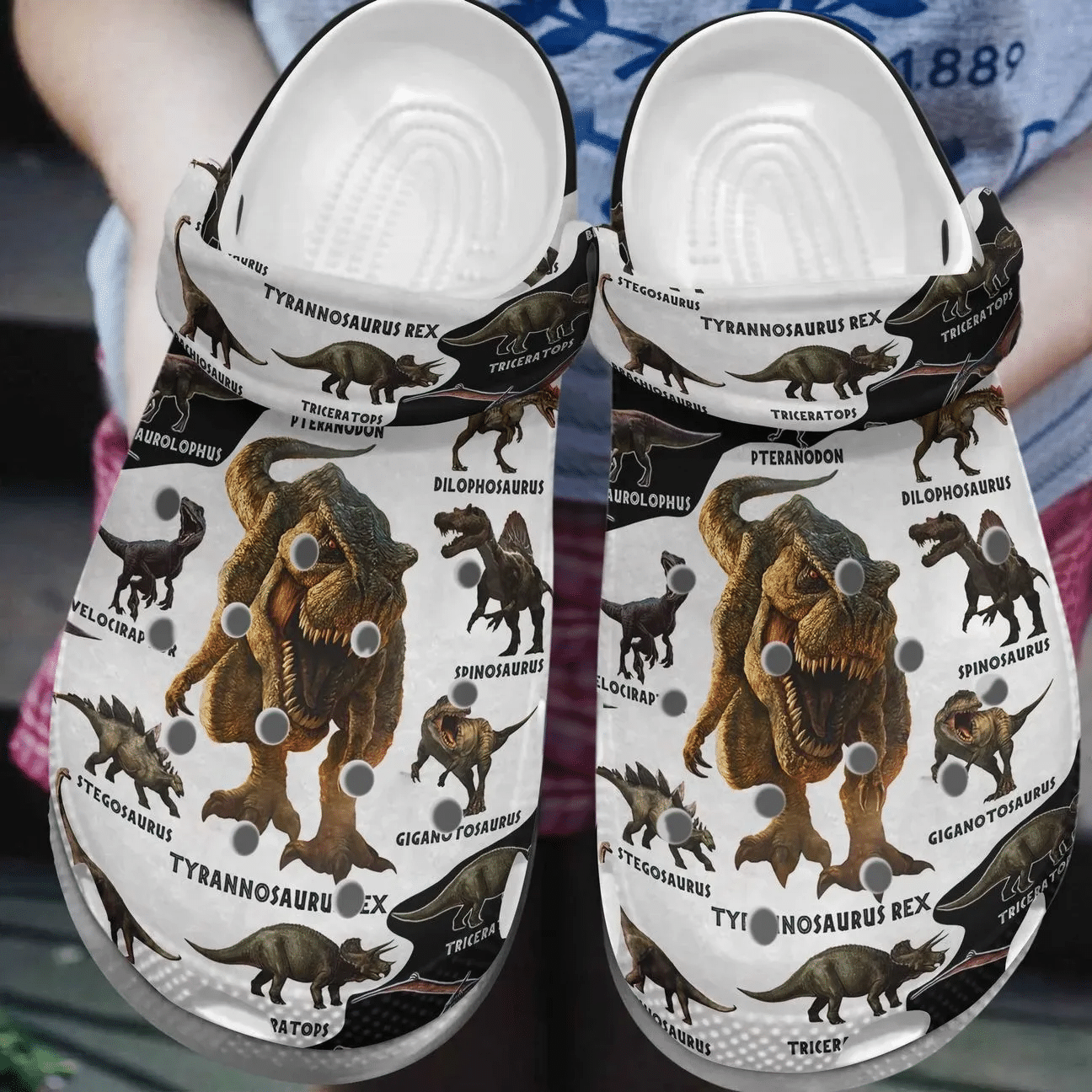 Dinosaur Personalize Clog Custom Crocss Fashionstyle Comfortable For ...
