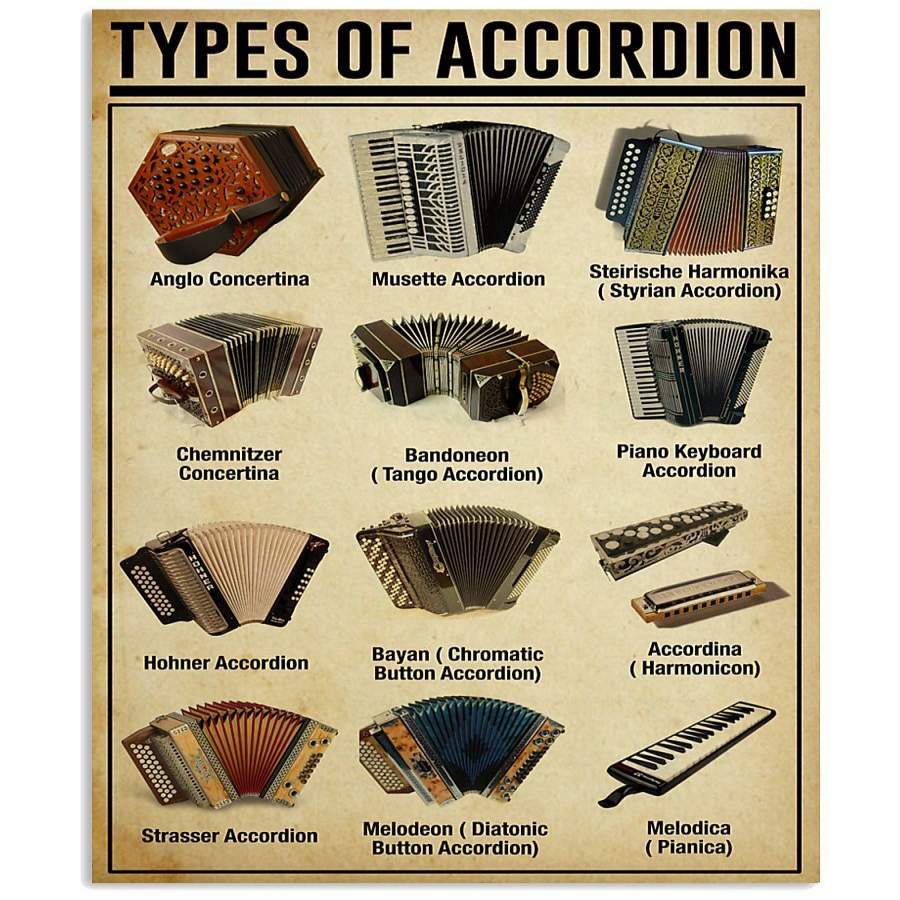 Types Of Accordion Special Gifts For Accordion Players Vertical Poster ...