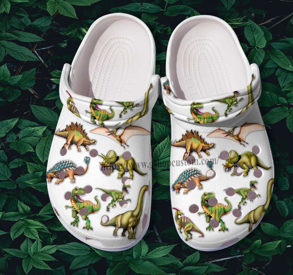 Dinosaur Species Jurassic crocss Shoes Gift Birthday Step Son ...