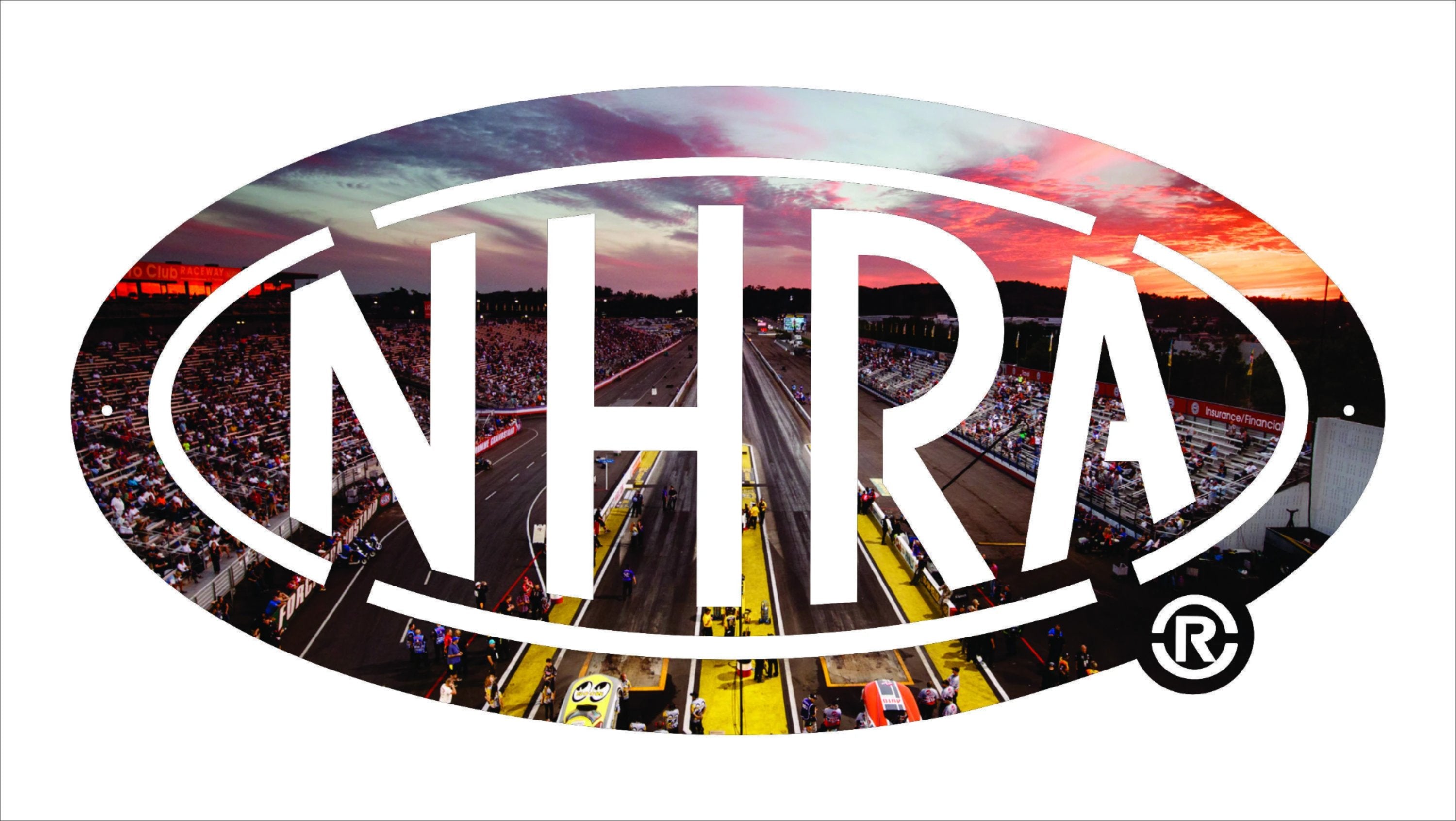 Nhra® Steel Imagery Logo – Buzz insect Store