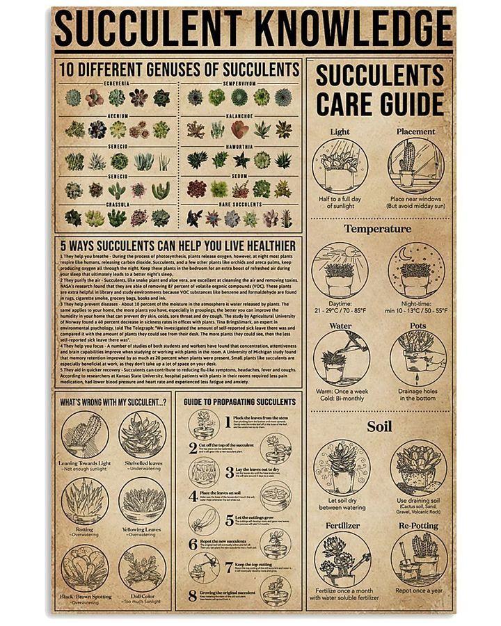Something You Should Know About Succulent Knowledge Vertical Poster ... Something You Should Know About Succulent Knowledge Vertical Poster ...