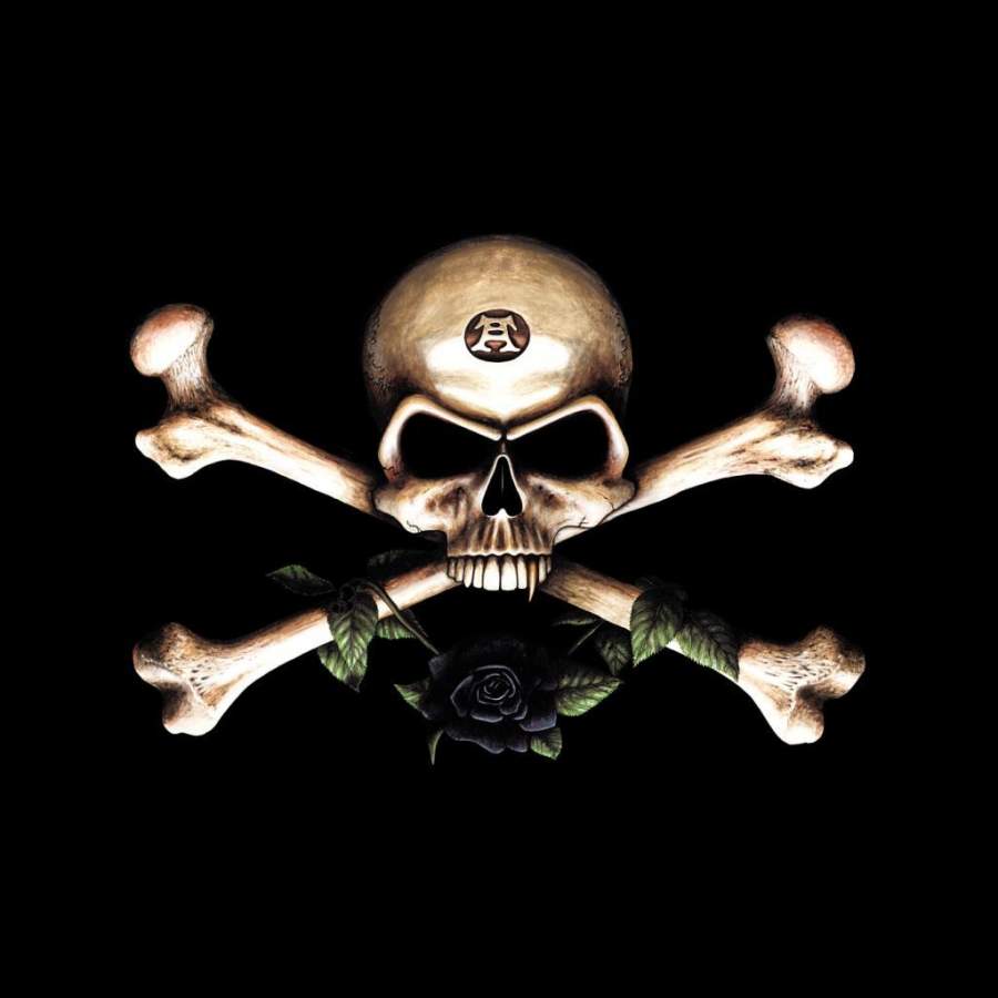 Alchemy Skull And Cross Bones Kid’s Sweatshirt – Skull Art Prints